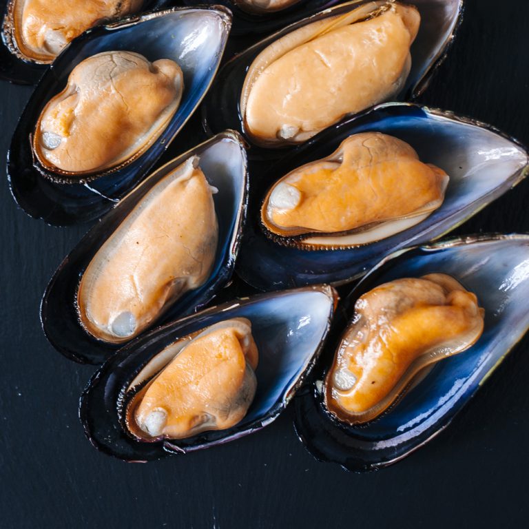 HALF-SHELL MUSSEL – Pesbasa
